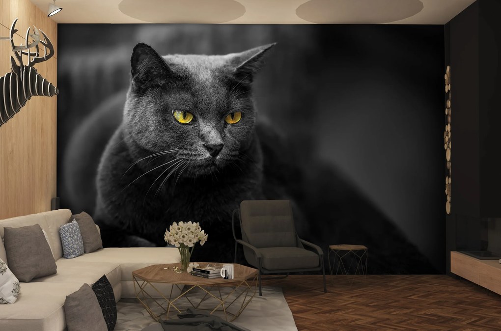 Malvis ® Tapeta Kočka černá Vel. (šířka x výška): 216 x 140 cm