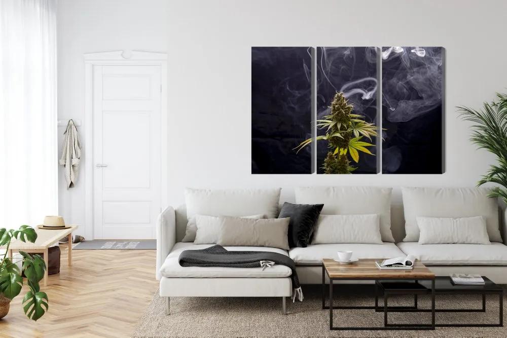 Vícedílný obraz Rostlina Konopí Na Zakouřeném Pozadí Nedostatek Nedostatek Přírodní plátno 150x100