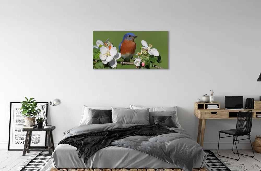 Obrazy na plátně Květiny barevné papoušek 120x60 cm