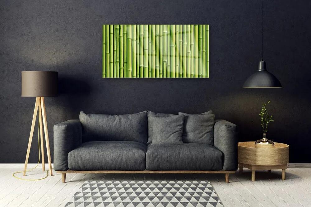 Obraz na skle Bambus Rostlina Příroda 100x50 cm