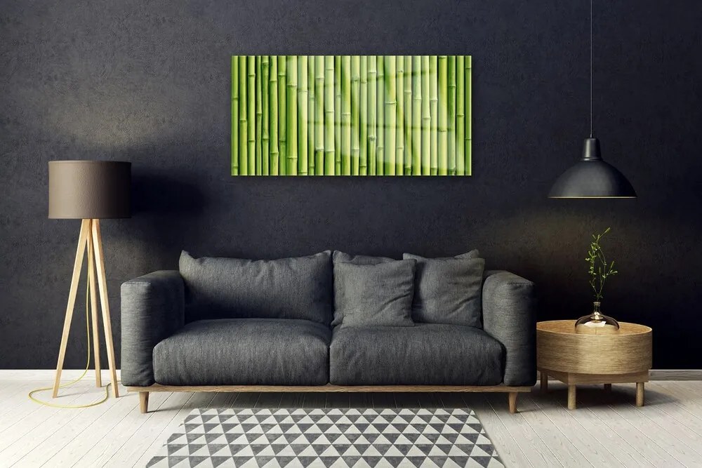 Obraz na skle Bambus Rostlina Příroda 140x70 cm