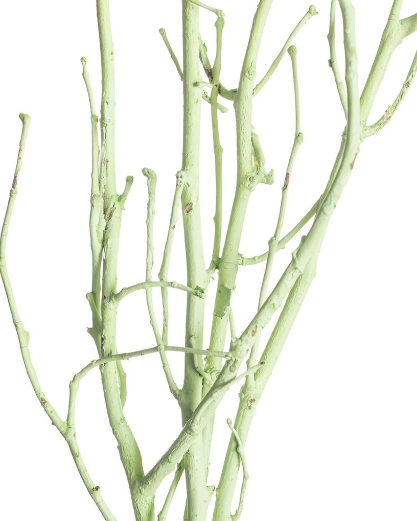 Lísková větev 50cm light green