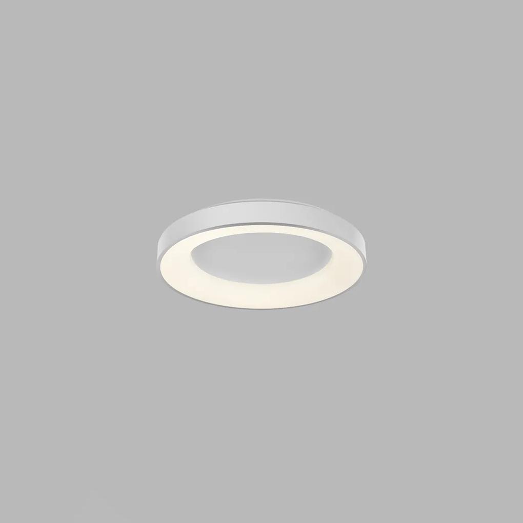 Stropní kružnicové svítidlo Bella Ceiling  Stropní kružnicové svítidlo Bella Ceiling Barva: Bílá, Průměr: 480 mm, Stmívání: Stmívatelné Casambi…