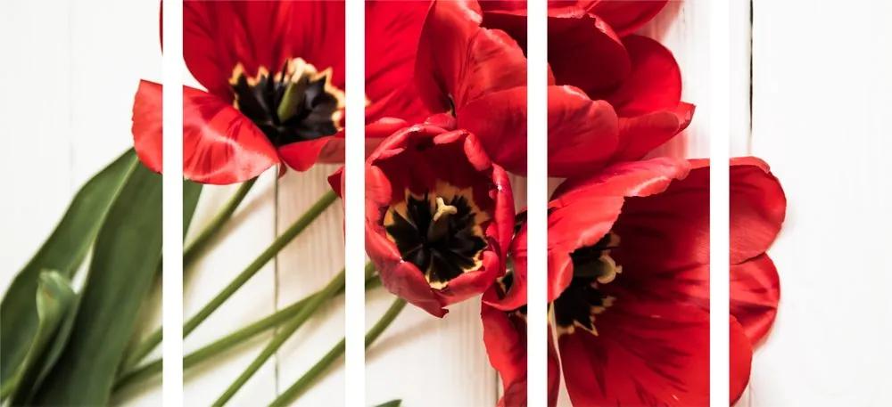 5-dílný obraz rozkvetlé červené tulipány Varianta: 100x50