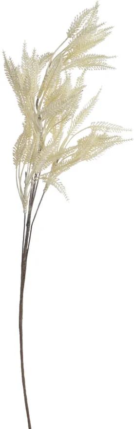 vřesovec větvička 80 cm - krémová