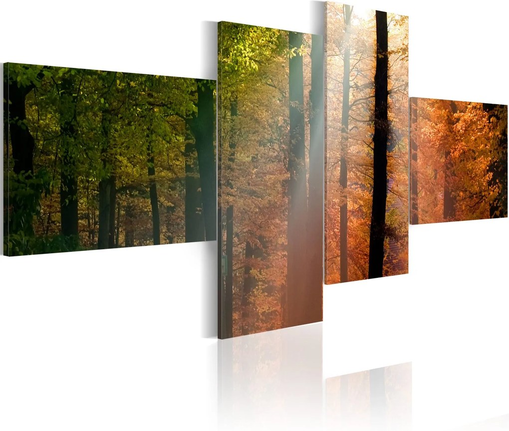 Obraz - Pohled na podzimní les 100x45
