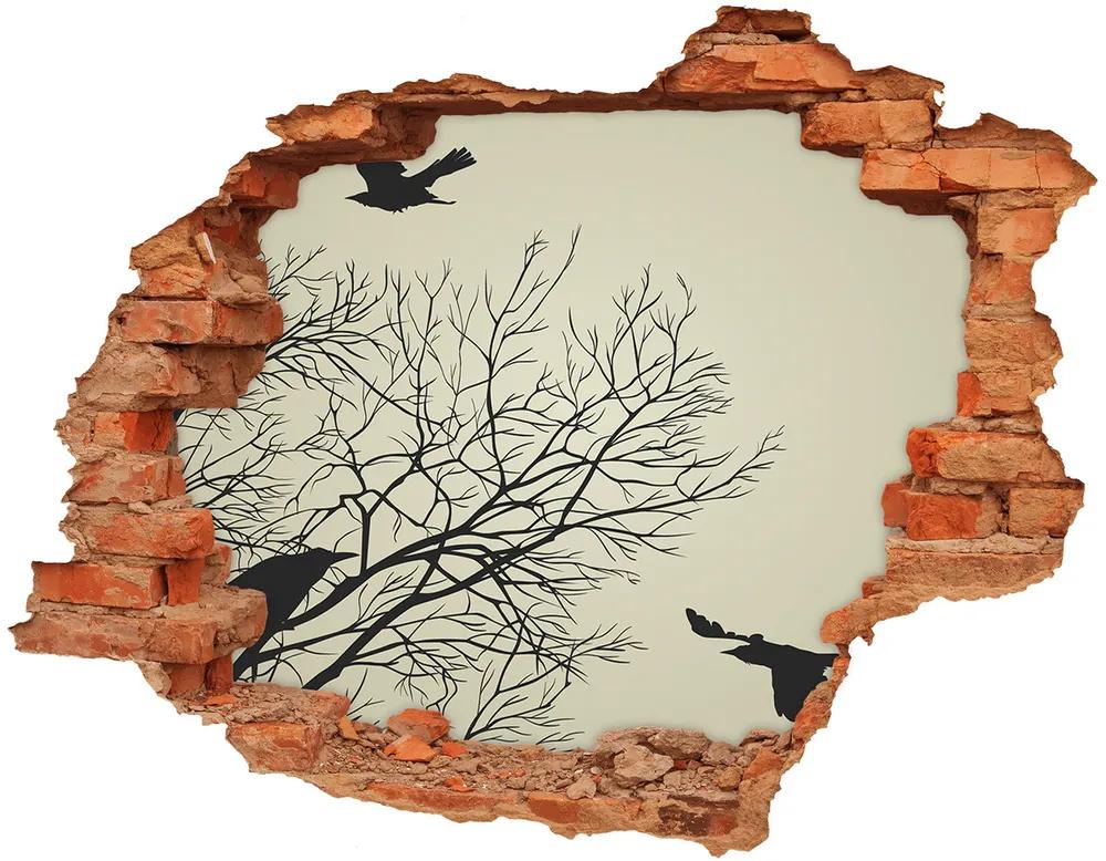 Wallmuralia Díra 3D fototapeta na stěnu Vrány na stromě 90x70 cm