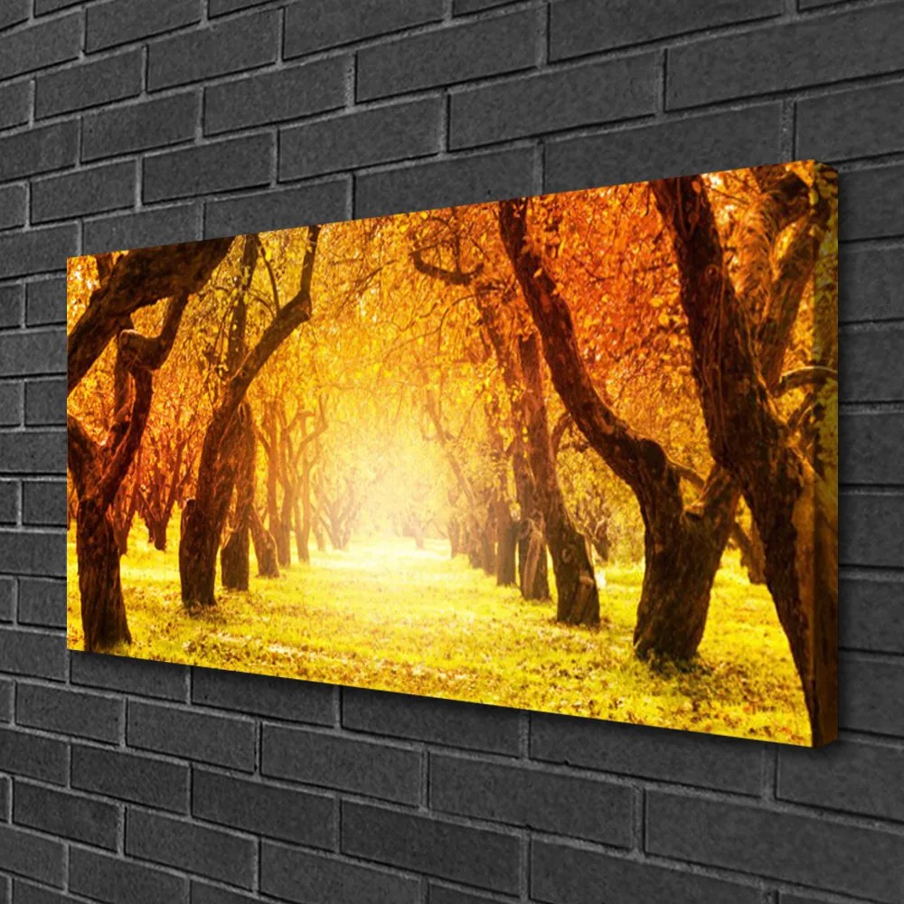 Obraz na plátně Les Stezka Stromy Příroda 125x50 cm