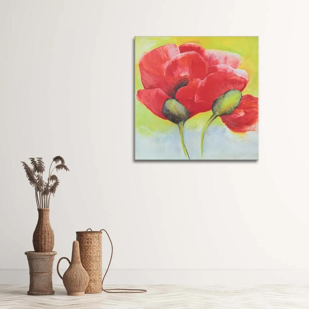 Obraz na plátně Červené máky Příroda - 40x40 cm