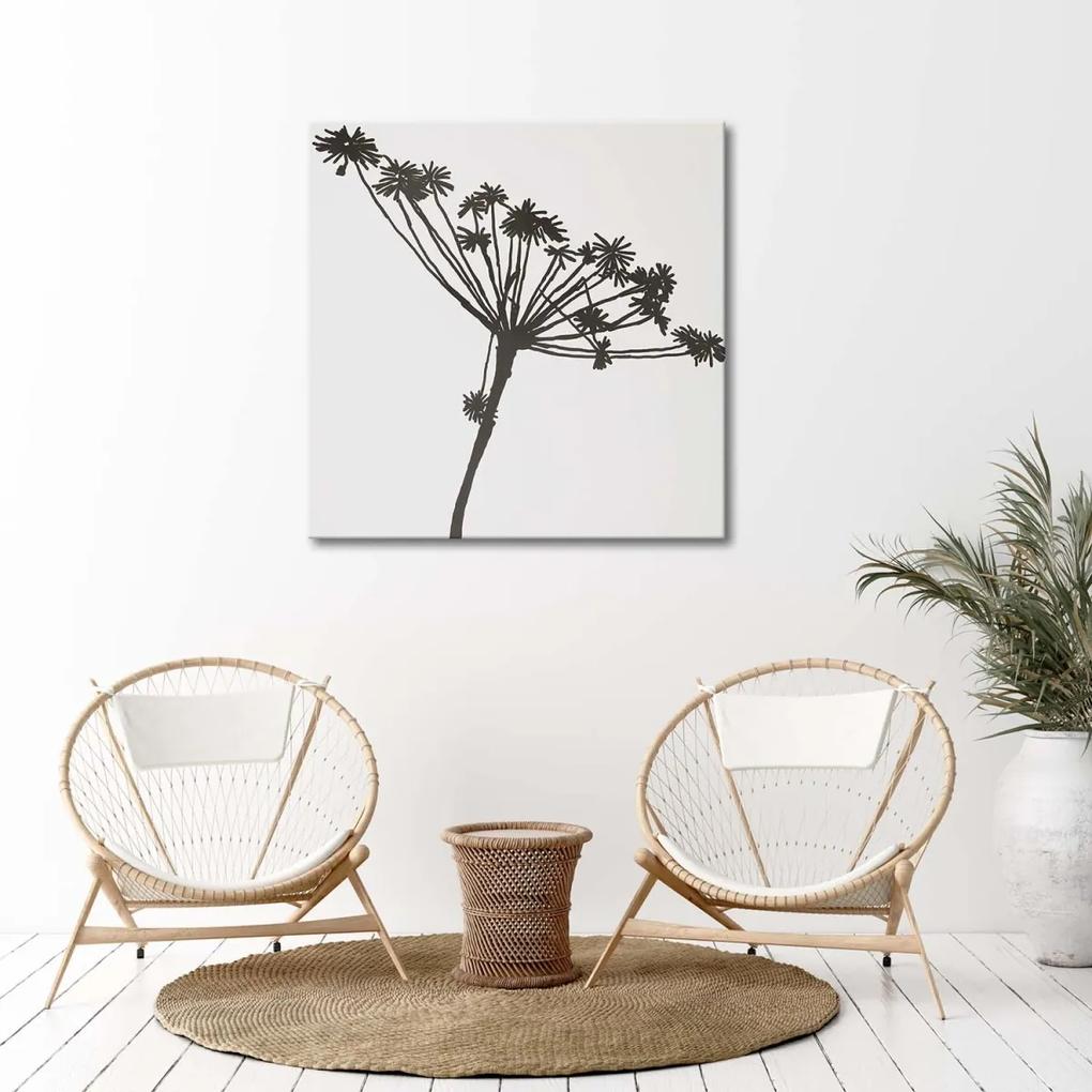 Obraz na plátně Rostlina Černá a bílá - 40x40 cm