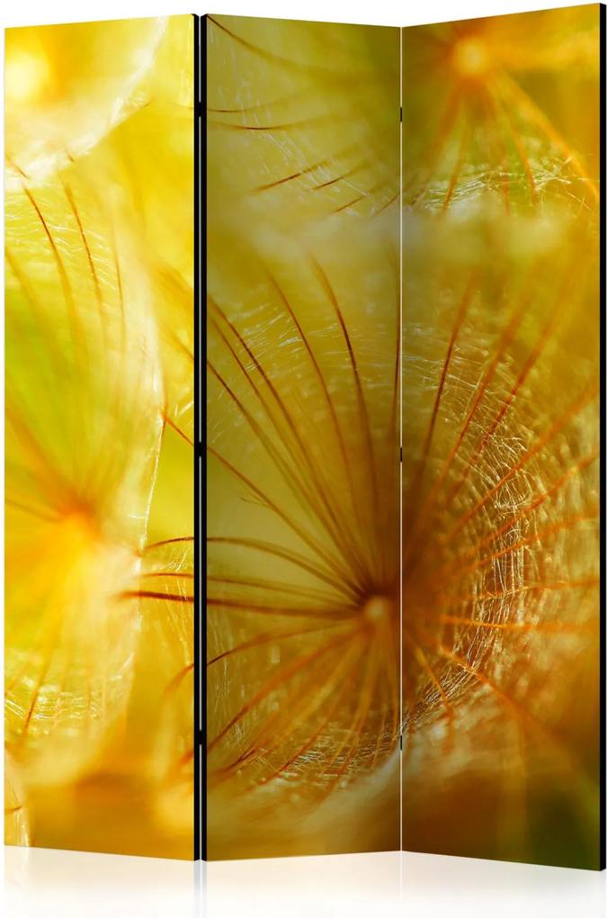 Paraván - Soft dandelion flower [Room Dividers] 135x172