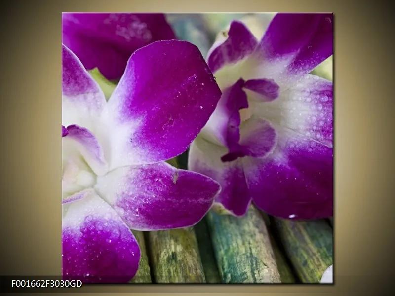 Obraz fialobílých orchidejí (), 40 dalších rozměrů
