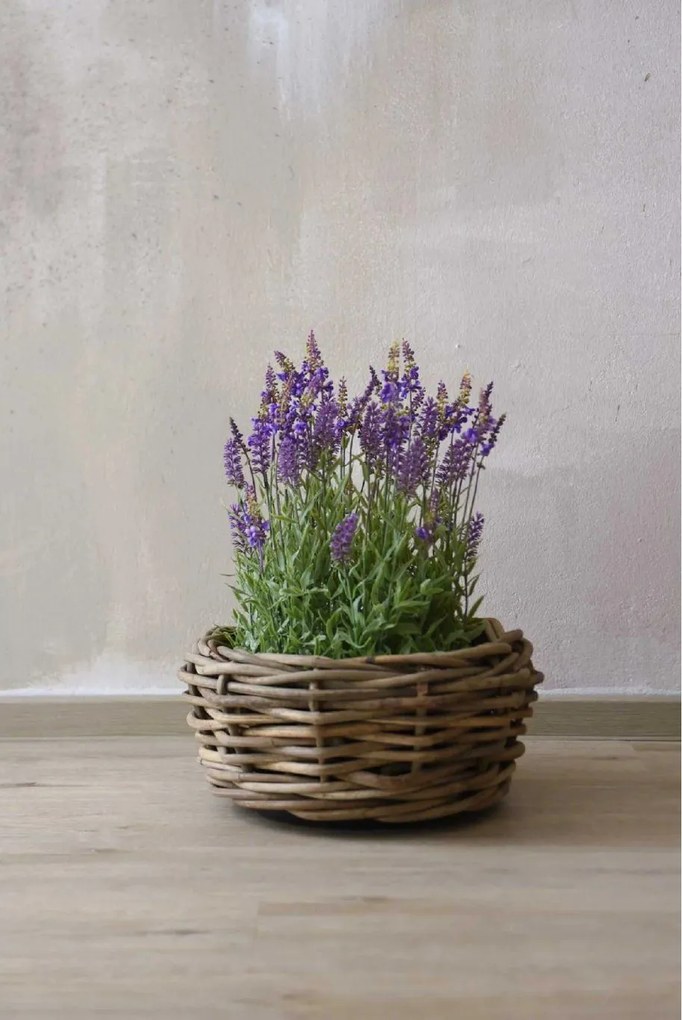 Přírodní květináč na rostliny BOJO, ratan, průměr 56 cm, natur