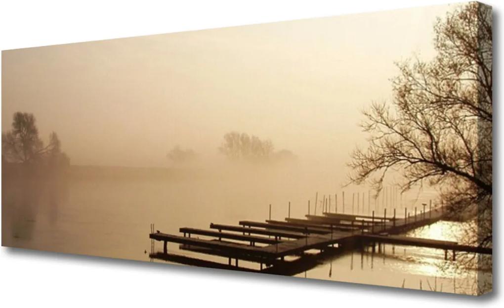 Obraz na plátně Most Voda Mlha Krajina