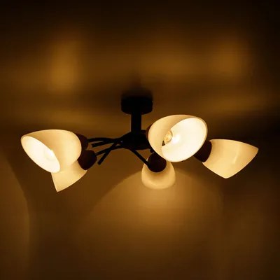 Stropní svítidlo černé olejovaný dub VILETTA 5