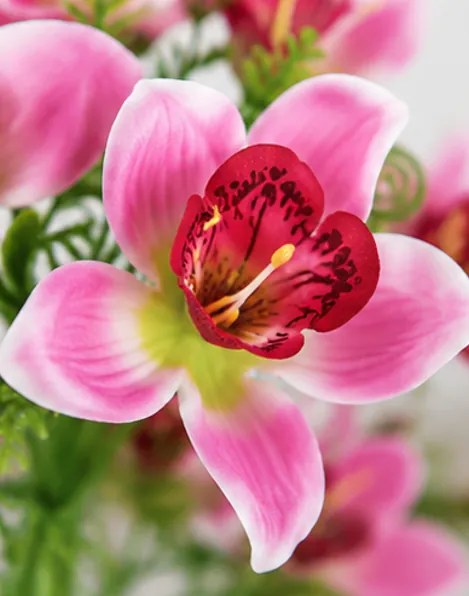 umělá květina, orchidej Cattleya, sada 10 ks, 33x10 cm, plast, růžová, Dekorino UK20260024