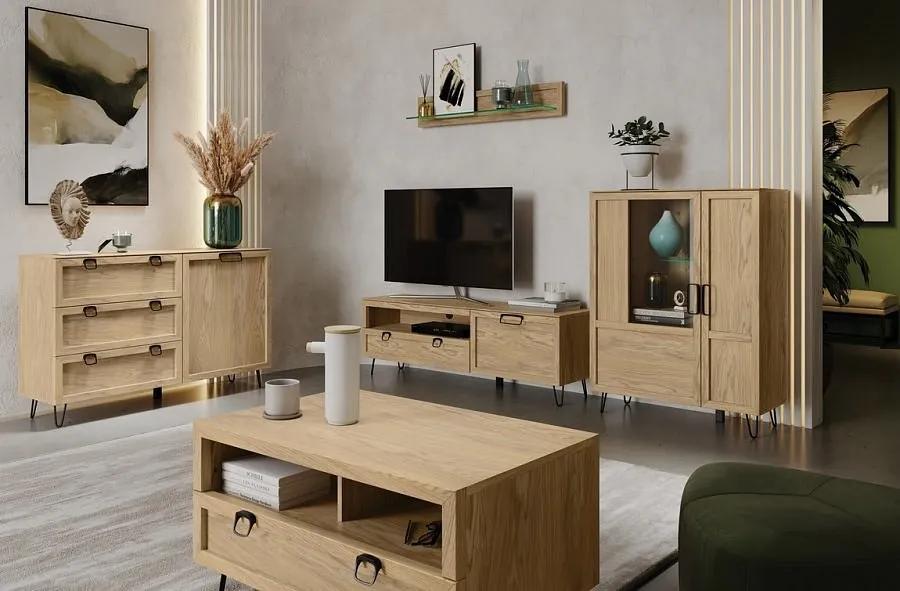 Casarredo - Komfort nábytek Vitrína ALTEA 10 1D levá dub artisan