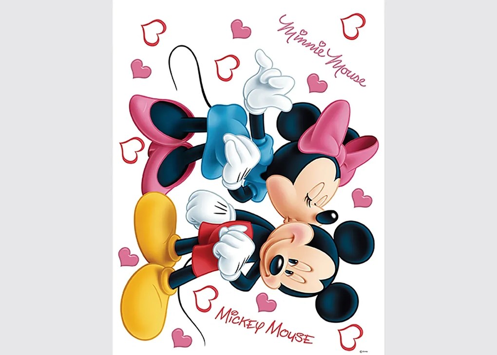Dětská samolepka na zeď Minnie a Mickey, Disney | 42.5 x 65 cm | DDK 1753