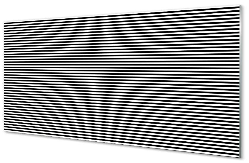 Obraz na skle zebra pruhy 140x70 cm