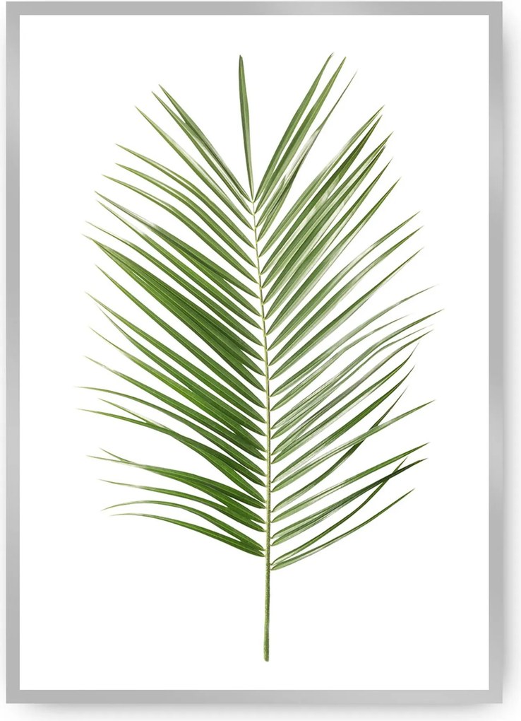 Plakát Palm Leaf Green