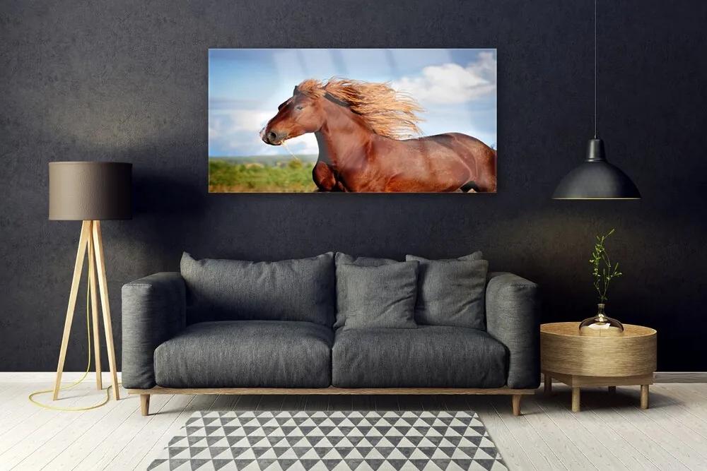 akrylový obraz Kůň Zvířata 120x60 cm