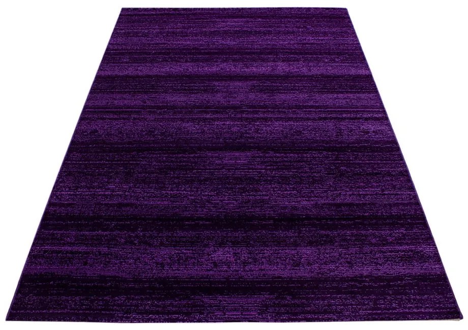 Tmavě fialový koberec 80x150 cm Plus – Ayyildiz Carpets