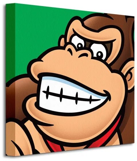 Obraz na plátně Nintendo Super Mario (Donkey Kong) 40x40cm WDC95447