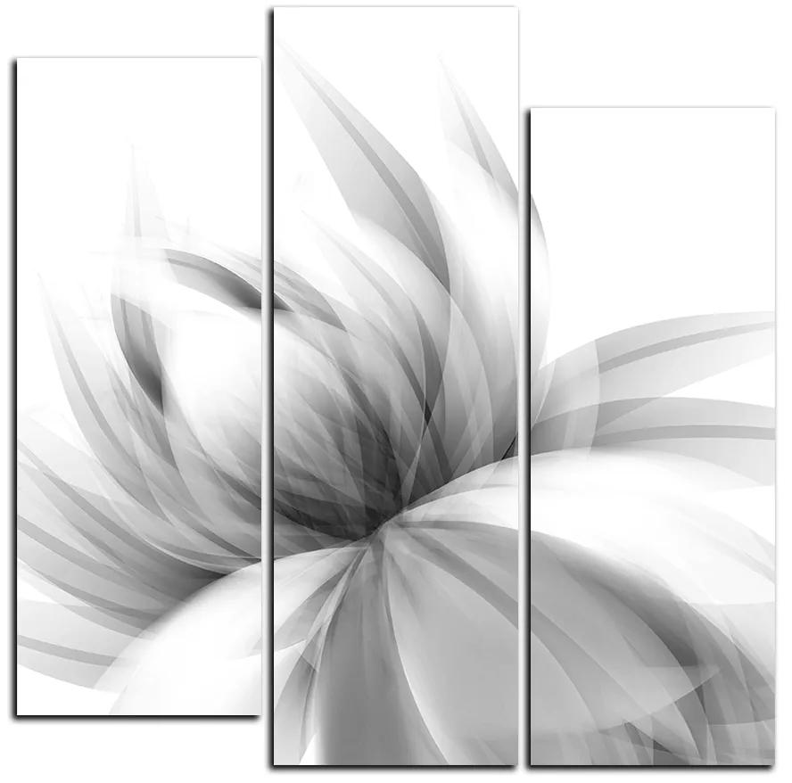 Obraz na plátně - Elegantní květ - čtverec 3147QC (105x105 cm)