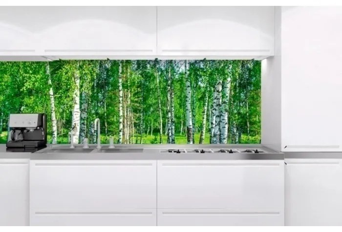 DIMEX | Fototapeta do kuchyně Březový háj KI-180-044 | 180 x 60 cm | zelená, bílá, černá