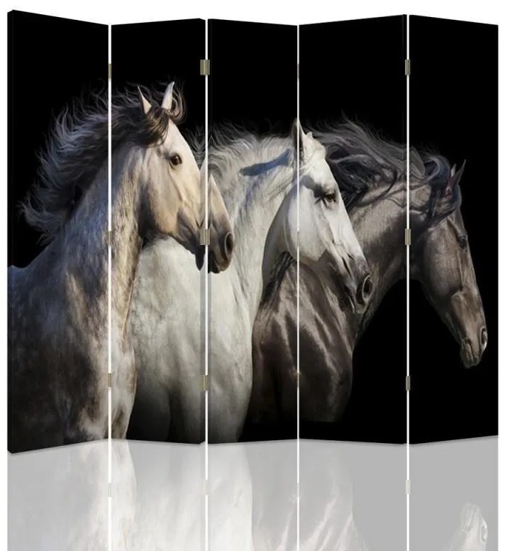 Ozdobný paraván Cval koní - 180x170 cm, pětidílný, obustranný paraván 360°