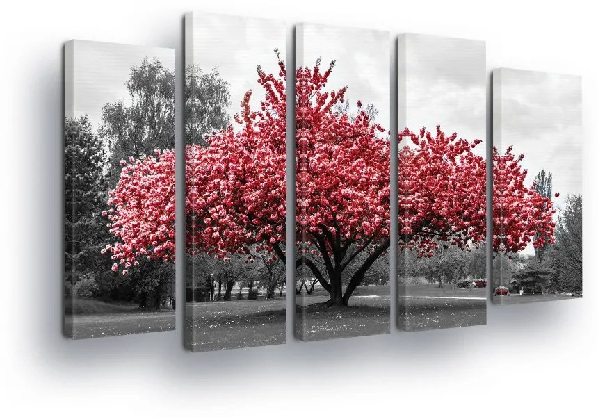 GLIX Obraz na plátně - Růžově Rozkvetlý Strom 2 x 30x80 / 3 x 30x100 cm