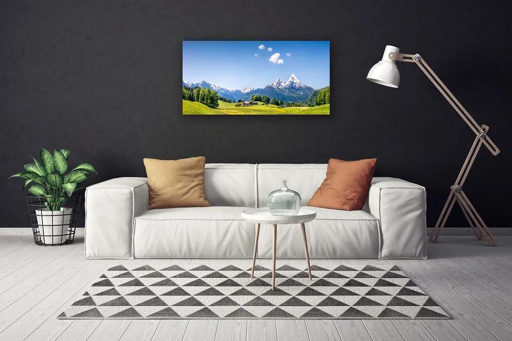 Obraz na plátně Pole Stromy Hory Krajina 125x50 cm