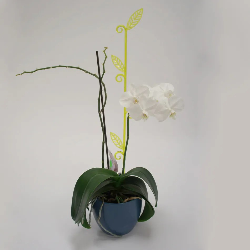 Tyčka k orchideji list, průsvitná zelená, 2 ks, Plastia