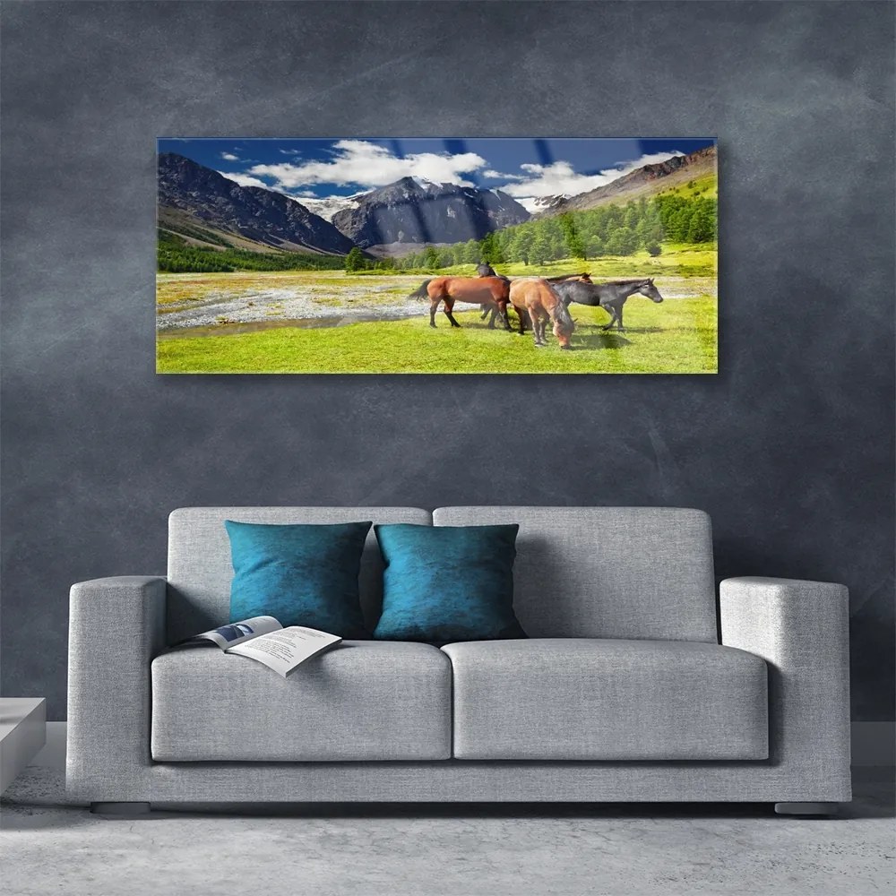Plexisklo-obraz Hory Stromy Koně Zvířata 125x50 cm