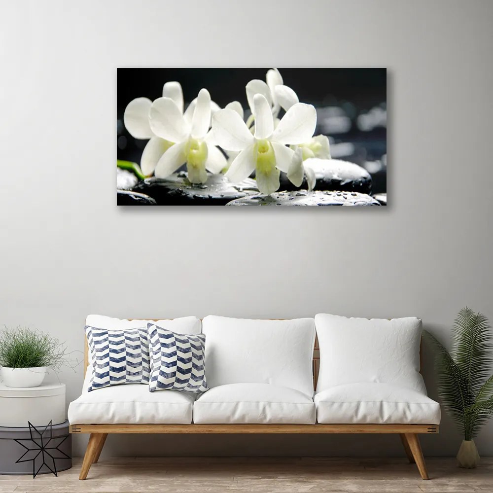 Obraz na plátně Kameny Květiny Orchidej 125x50 cm