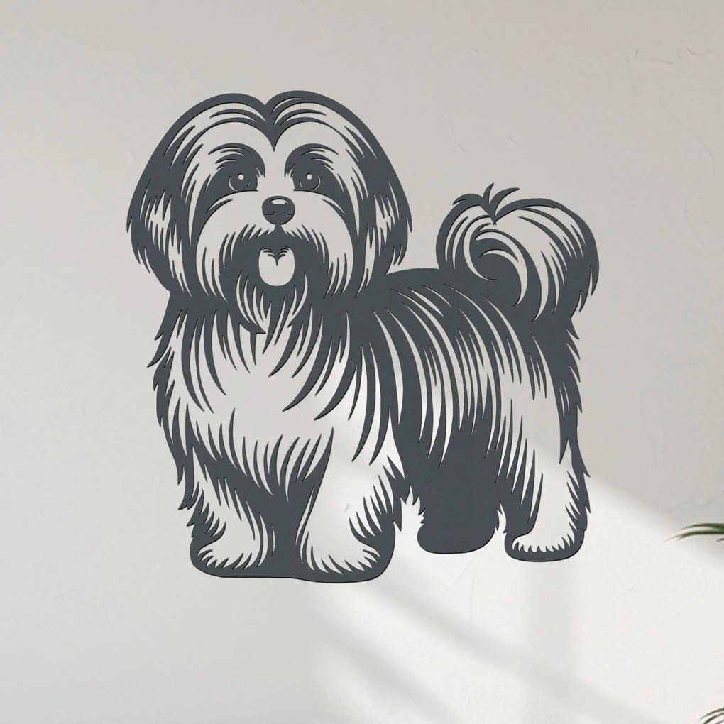 dřevo života Dřevěný obraz Havanský psík (Havanese) Zvolte rozměr (cm): 57x60, Zvolte barvu dekoru: Buk