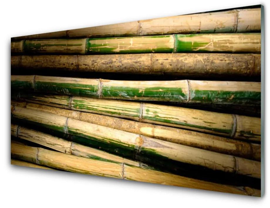 akrylový obraz Bambus Rostlina Příroda 140x70 cm