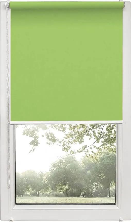 Roleta na okno - Decor D11 Barva ovládání: Hnědá, šířka: 105, výška: 215