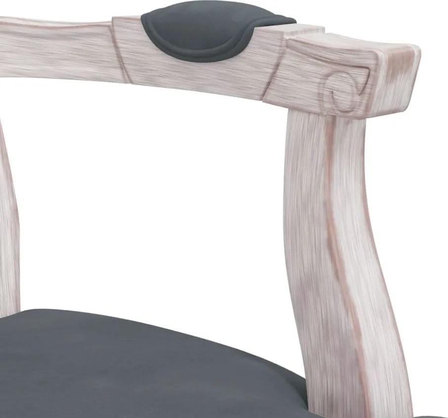 vidaXL Jídelní židle 2 ks 62 x 59,5 x 100,5 cm samet [344468] Barva: Šedá