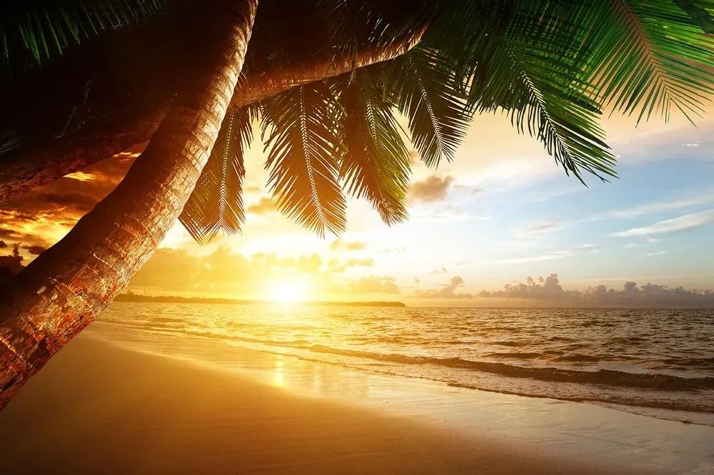 Samolepící fototapeta východ slunce na karibské pláži - 300x200 cm