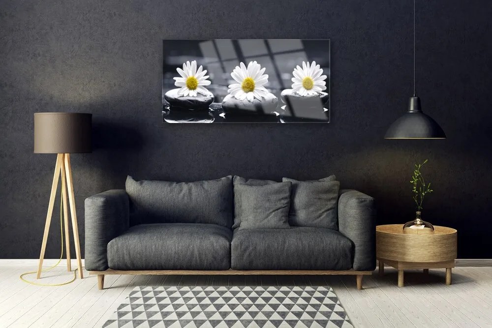Obraz na skle Sedmikráska Kameny Rostlina 100x50 cm