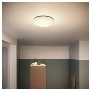 Philips 31801/31/16 svítidlo stropní LED