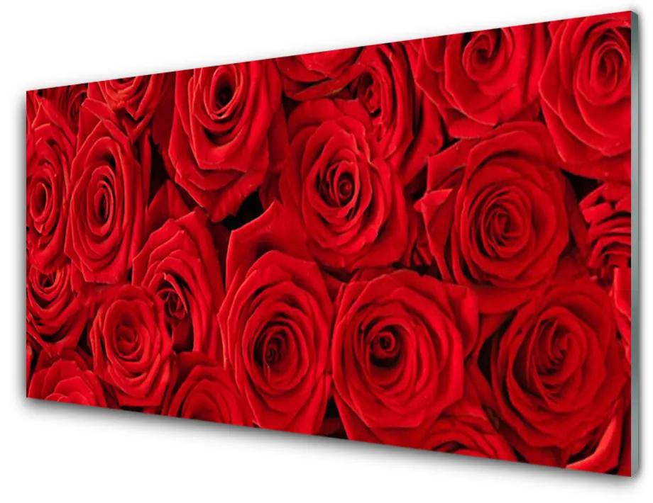 Obraz na skle Růže Květiny Rostlina 100x50 cm