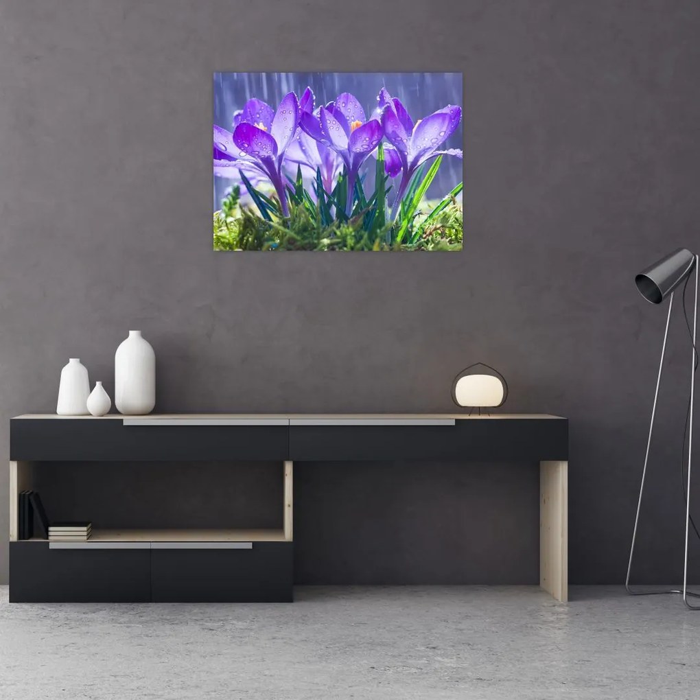 Skleněný obraz květin v dešti (70x50 cm)
