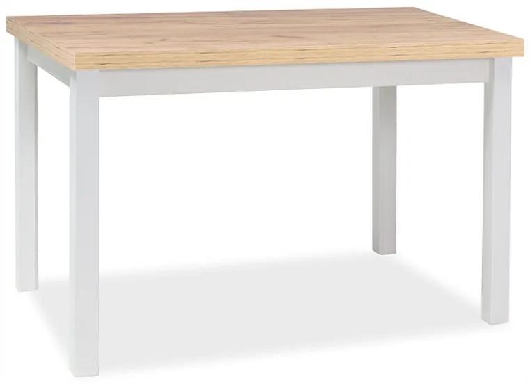 MAXIVA Jídelní stůl - ADAM, 100x60, dub artisan/bílá