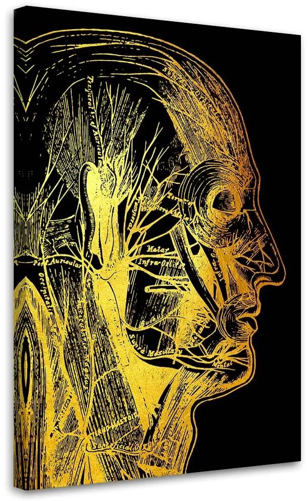 Gario Obraz na plátně Zlatá anatomie, Boční strana - Gab Fernando Rozměry: 40 x 60 cm