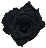 Stabilizovaná aranž Tereza Black - černá