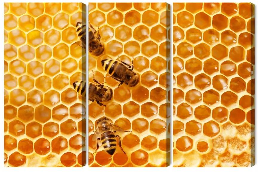 Vícedílný obraz Včely Na Plástev Nedostatek Nedostatek Přírodní plátno 120x80