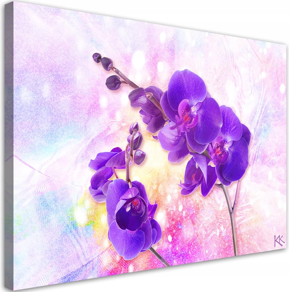 Obraz na plátně, Fialový květ orchideje 60x40