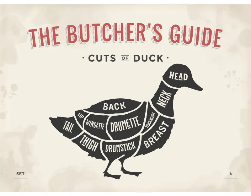 Cedule The Butchers Guide - Cuts Of Duck | BIANO